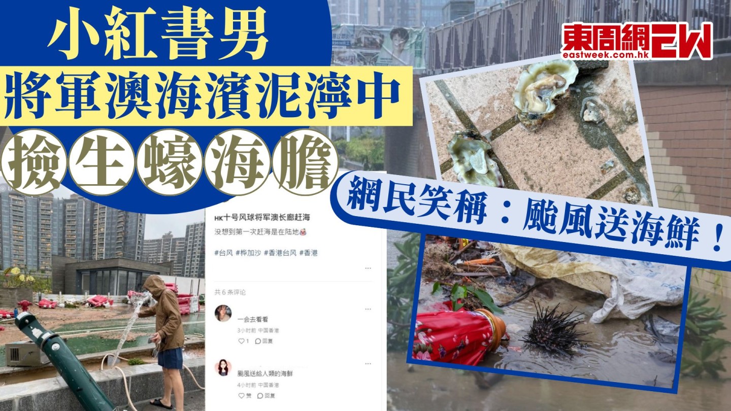 小紅書男將軍澳海濱泥濘中撿生蠔海膽 網民笑稱：颱風送海鮮！